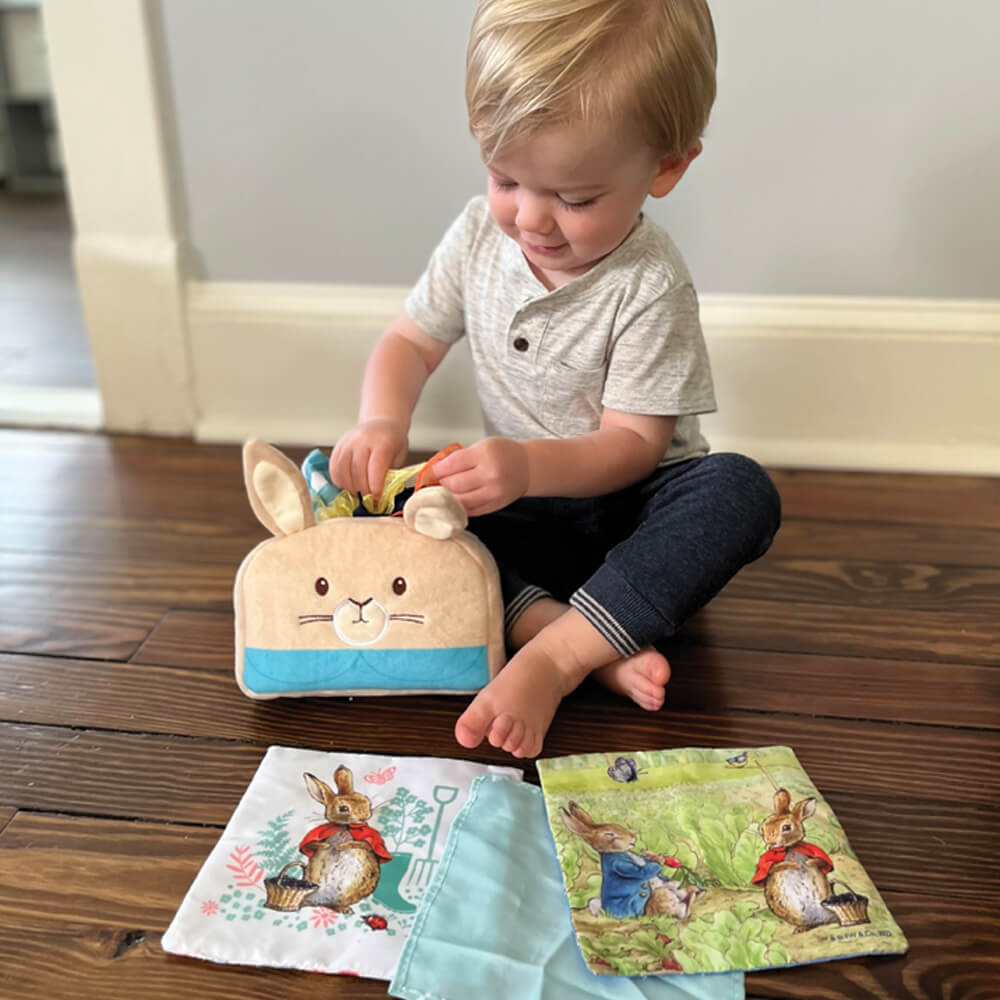 Beatrix Potter - Peter Rabbit Tissue Box Play Set – Toyz Anime